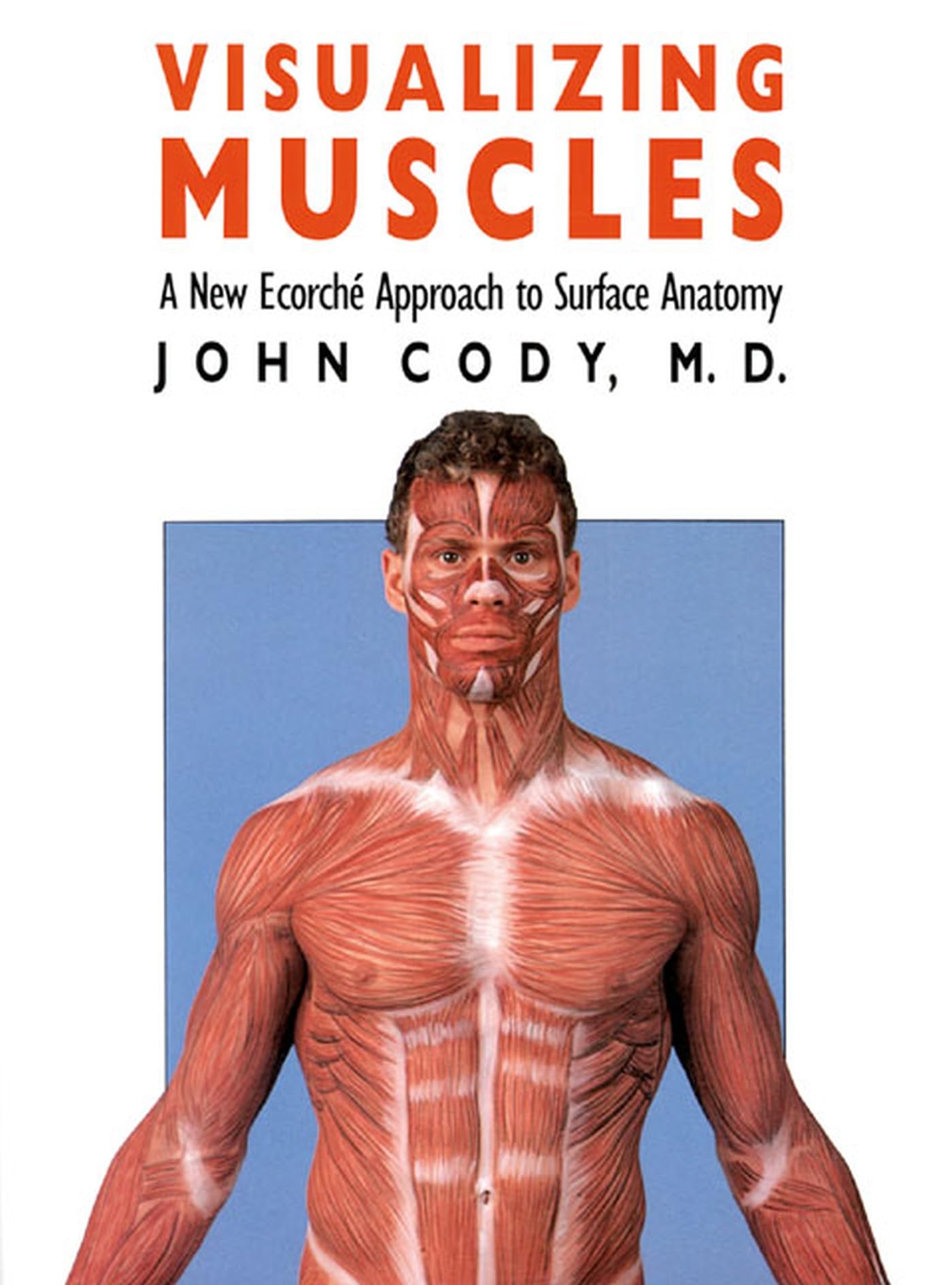Visualizing Muscles: A New Ecorché Approach to Surface Anatomy